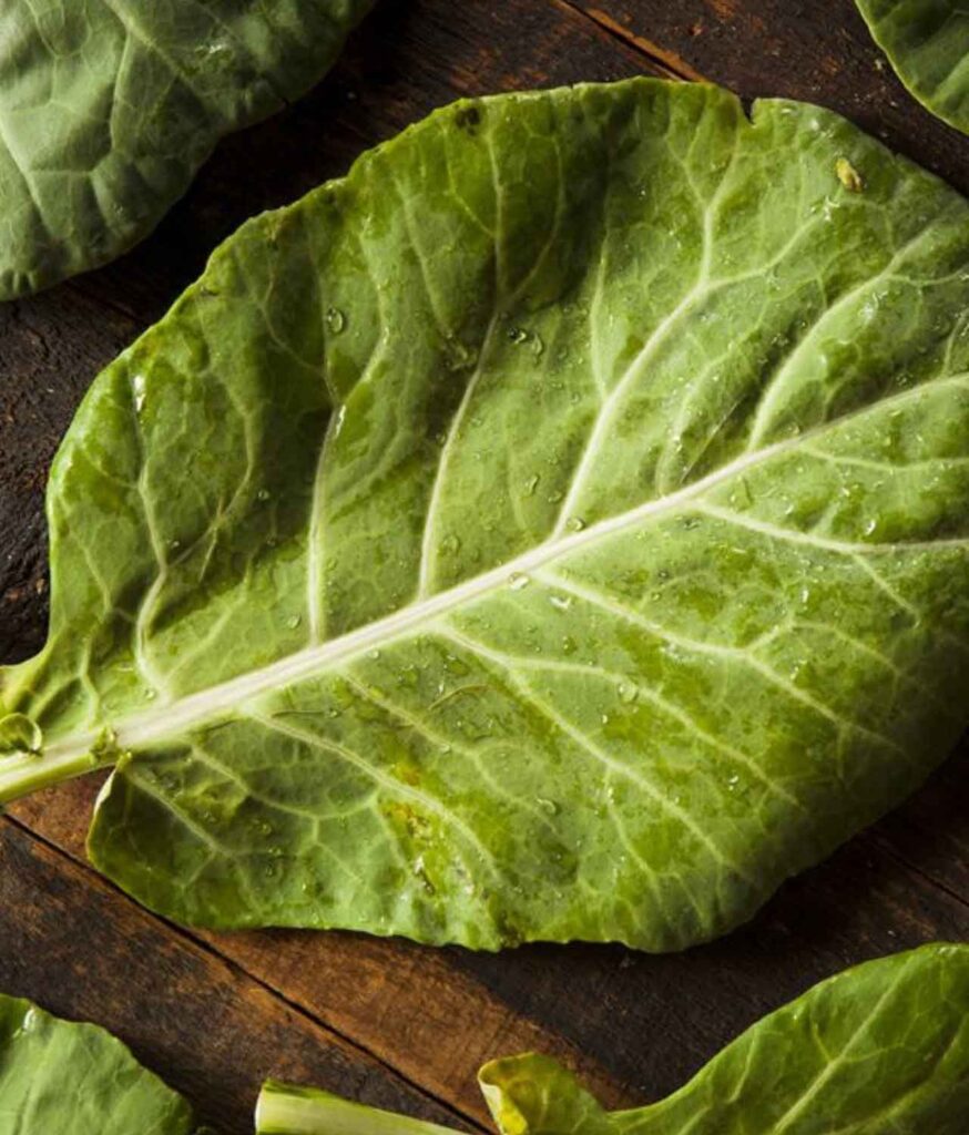 Verduras - Local Farmers