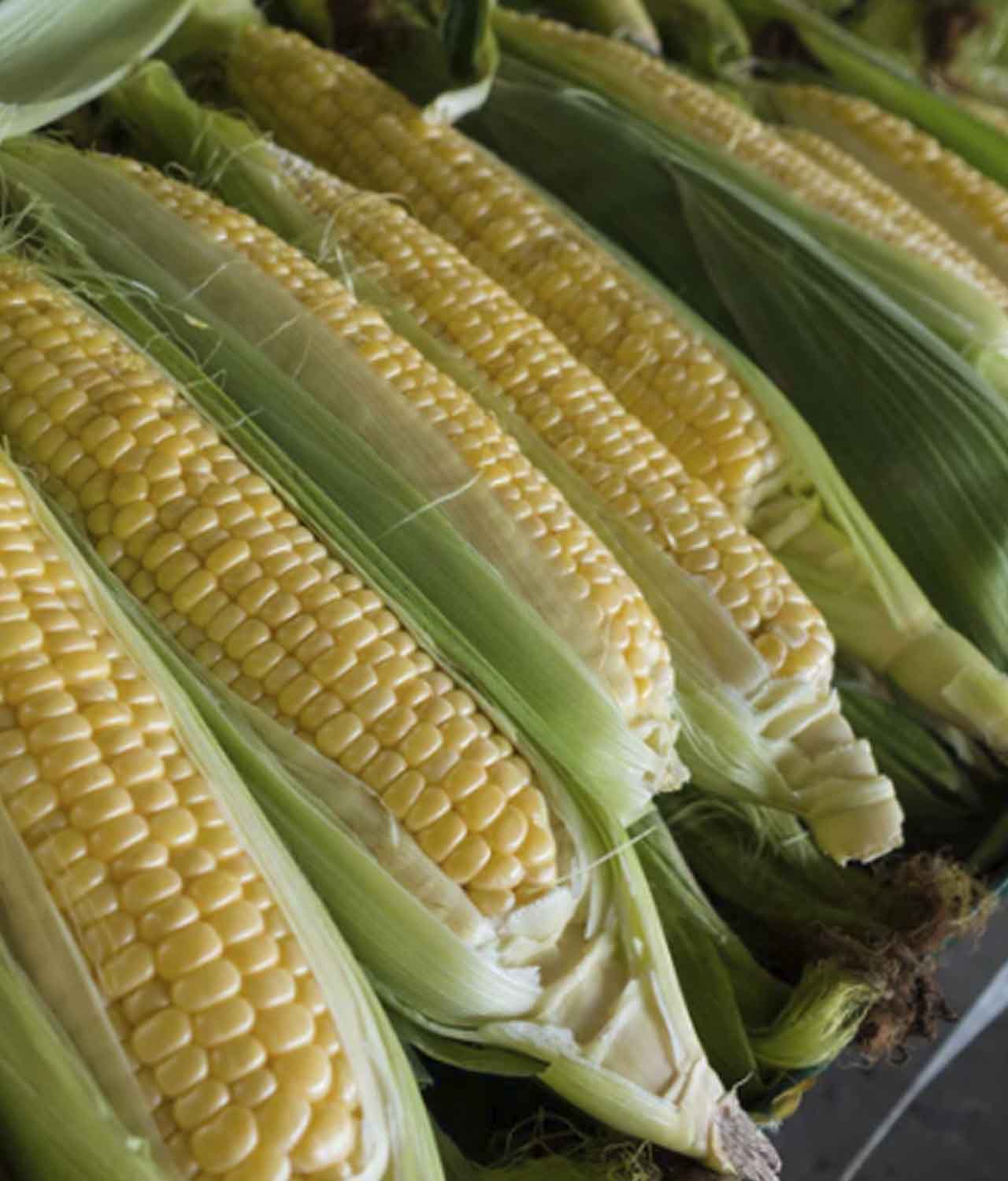 Milho Verde Org nico 3 Espigas Local Farmers Milho Verde Org nico 3 Espigas Local Farmers