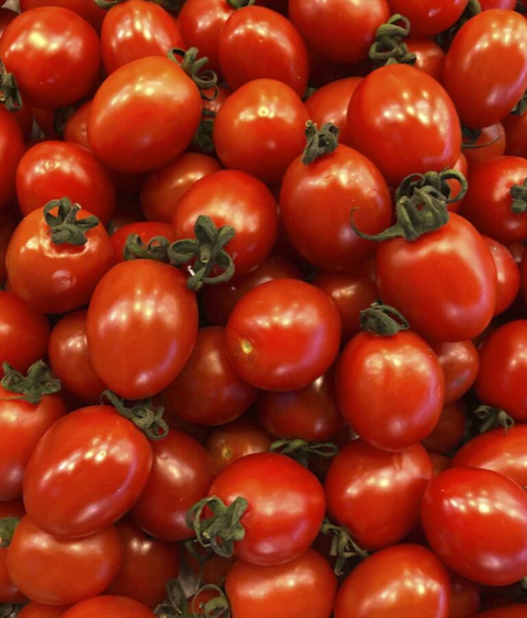 Tomate Italiano Orgânico (400g) - Local Farmers